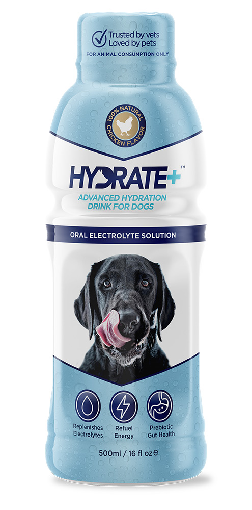 Hydrate+ For Dogs 500ml | Millie's Paws